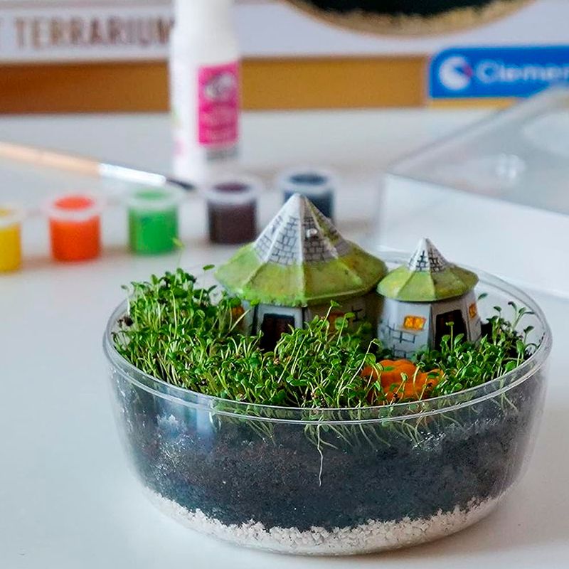Harry Potter Terrarium Mágico - Shopstar