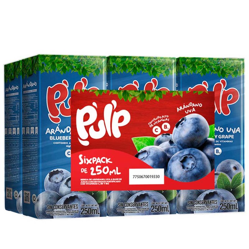 Bebida de Arándano Uva PULP Forti 250ml Paquete 6un - Shopstar