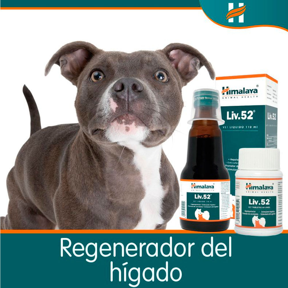 Protector Hepático Perros y Gatos Himalaya LIV 52 110ml - Shopstar
