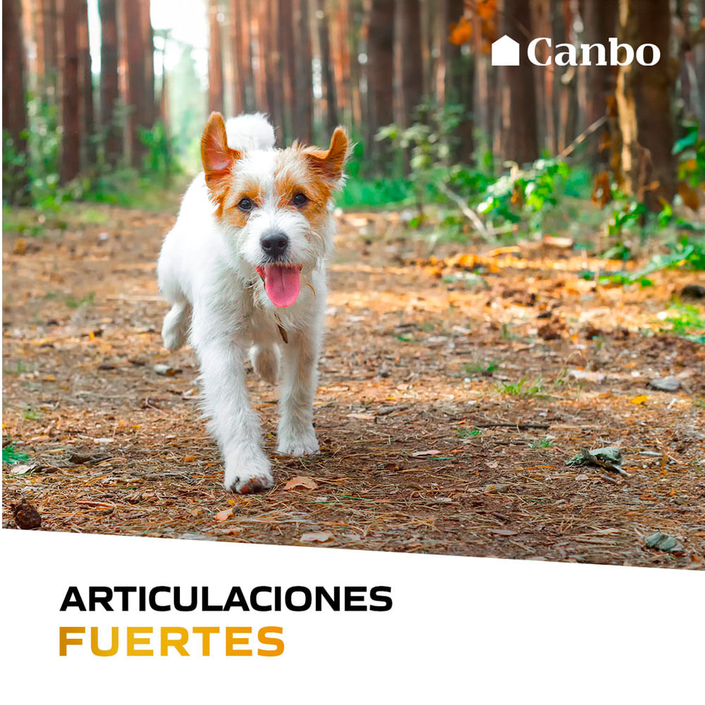 Snack para Perro Cachorro Canbo Biscuits Cordero 200 gr - Shopstar