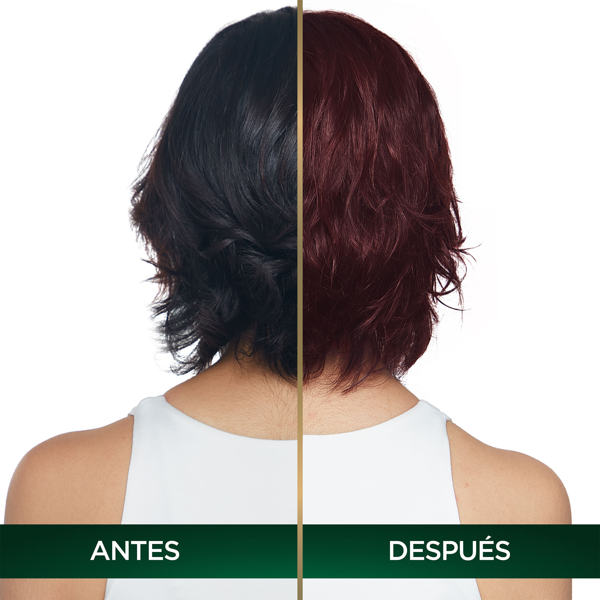 Tinte Capilar Garnier NUTRISSE Oleos 6.66 Rubio Rojizo Profundo Caja 1un - Shopstar