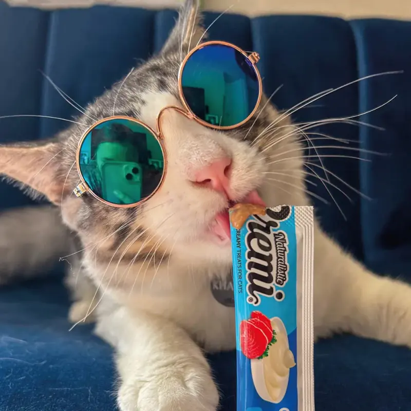 Snack para Gato Cremi Box Mix De Pollo Pack 30 Tubos Variados - Shopstar